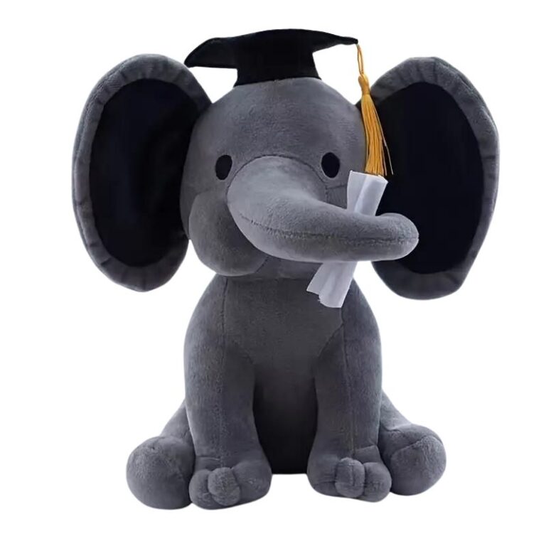 KINDERGARTEN PRESCHOOL PREP GRADUATIONS | The Gown Chick